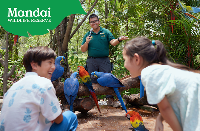 Promo Mastercard I Singapore Airlines