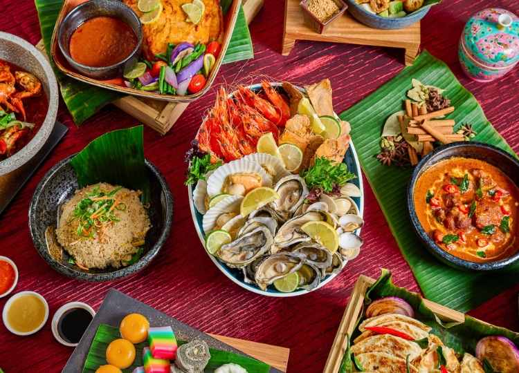 Kris+ Feast to Fly 2024