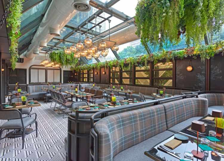 Kris+ Feast to Fly 2024