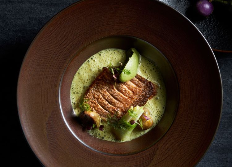 Kris+ Feast to Fly 2024