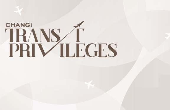 Fly to New Zealand on Singapore Airlines