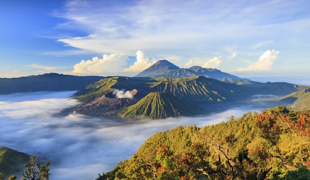 New Year Special Deals | Singapore Airlines