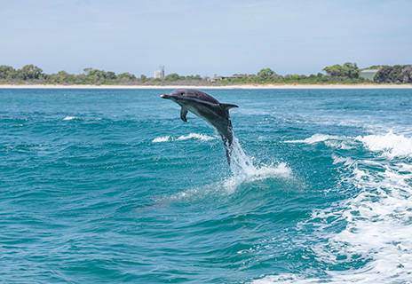 Explore Western Australia