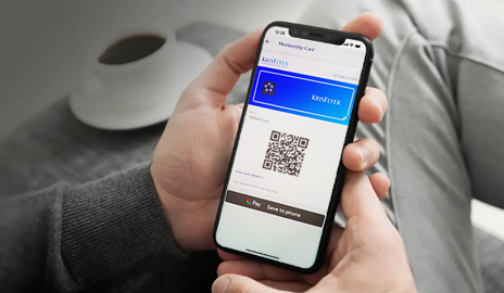 KrisFlyer & PPS Club | Rewards | Singapore Airlines